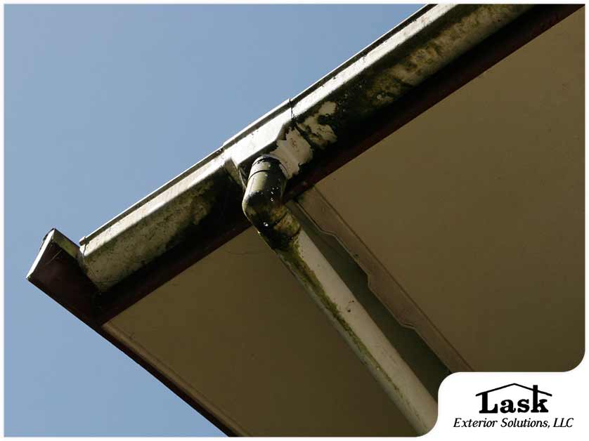 Slime, Sludge, and Silt: How Do They End Up in Your Gutters?