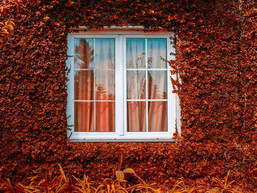why-is-fall-a-great-time-to-replace-your-windows